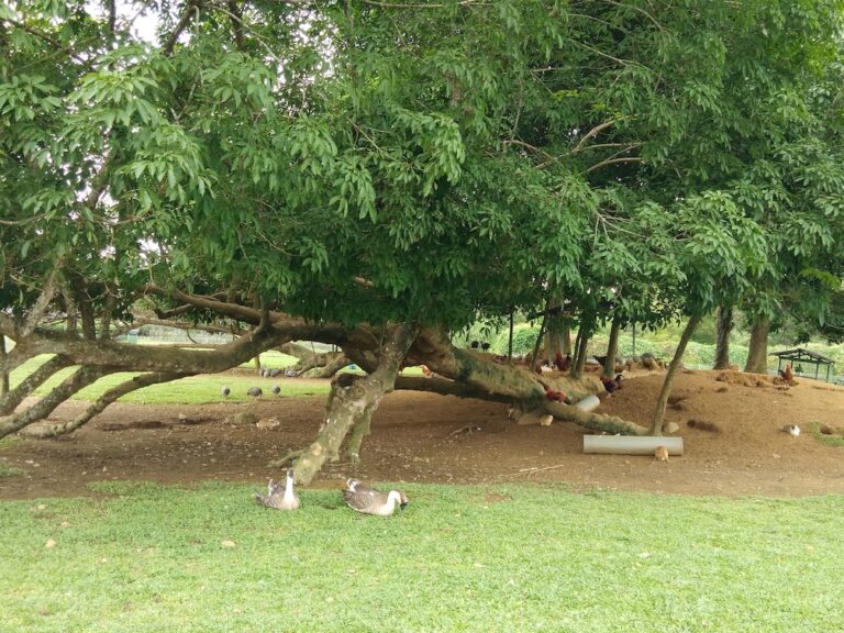 Farm Fresh UPM Review | Family's Farm Fresh KL Visit (2025)