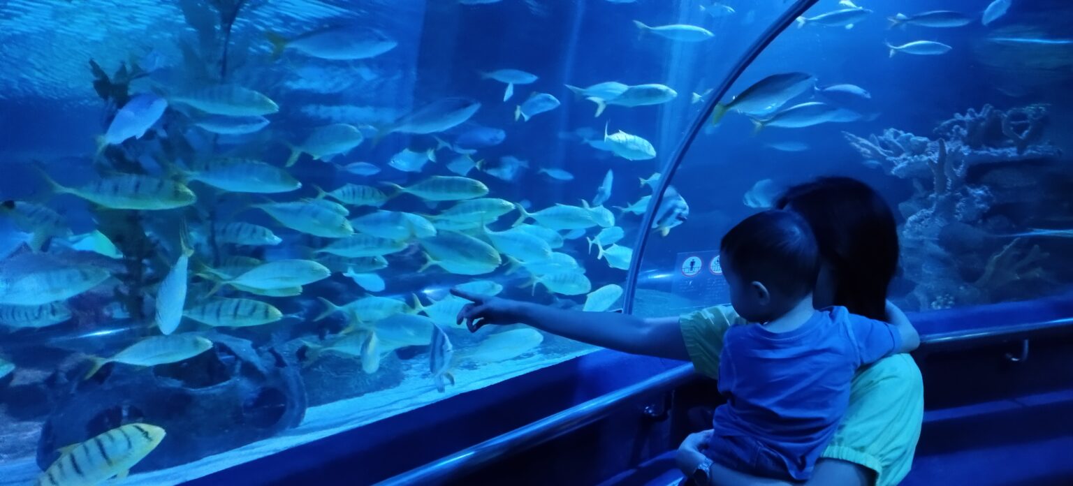 Aquaria KLCC Review | A KLite Family's Experience (2025)