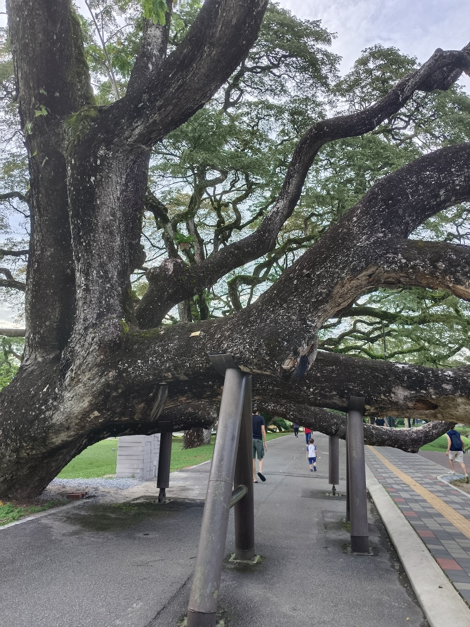 Taiping Trip Review: Taiping Holiday For The Family (2025)