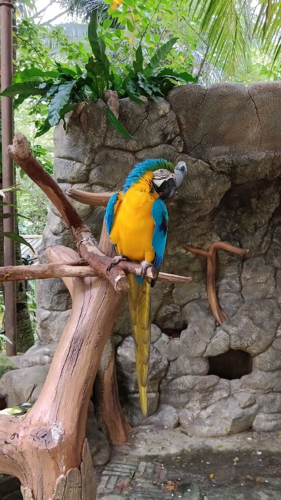 Our Farm in The City, Seri Kembangan Visit | KL Farm (2026)