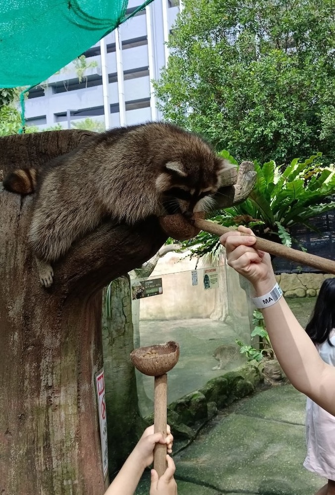 Our Farm in The City, Seri Kembangan Visit | KL Farm (2026)